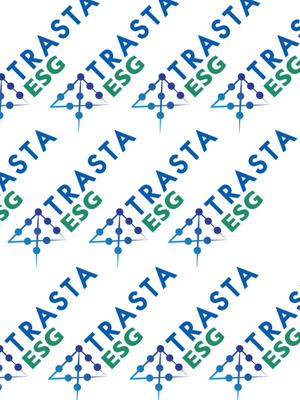 Yönetim Kurulu – Trasta ESG